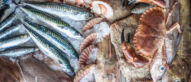 What should you look for when purchasing fish?