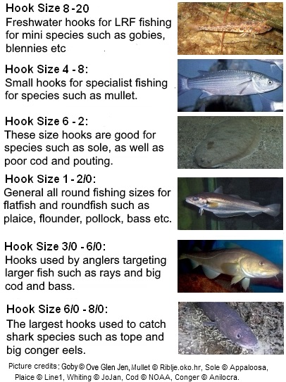 What size hooks for sea fishing?