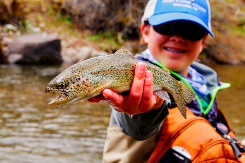 What size of trout tastes the best?