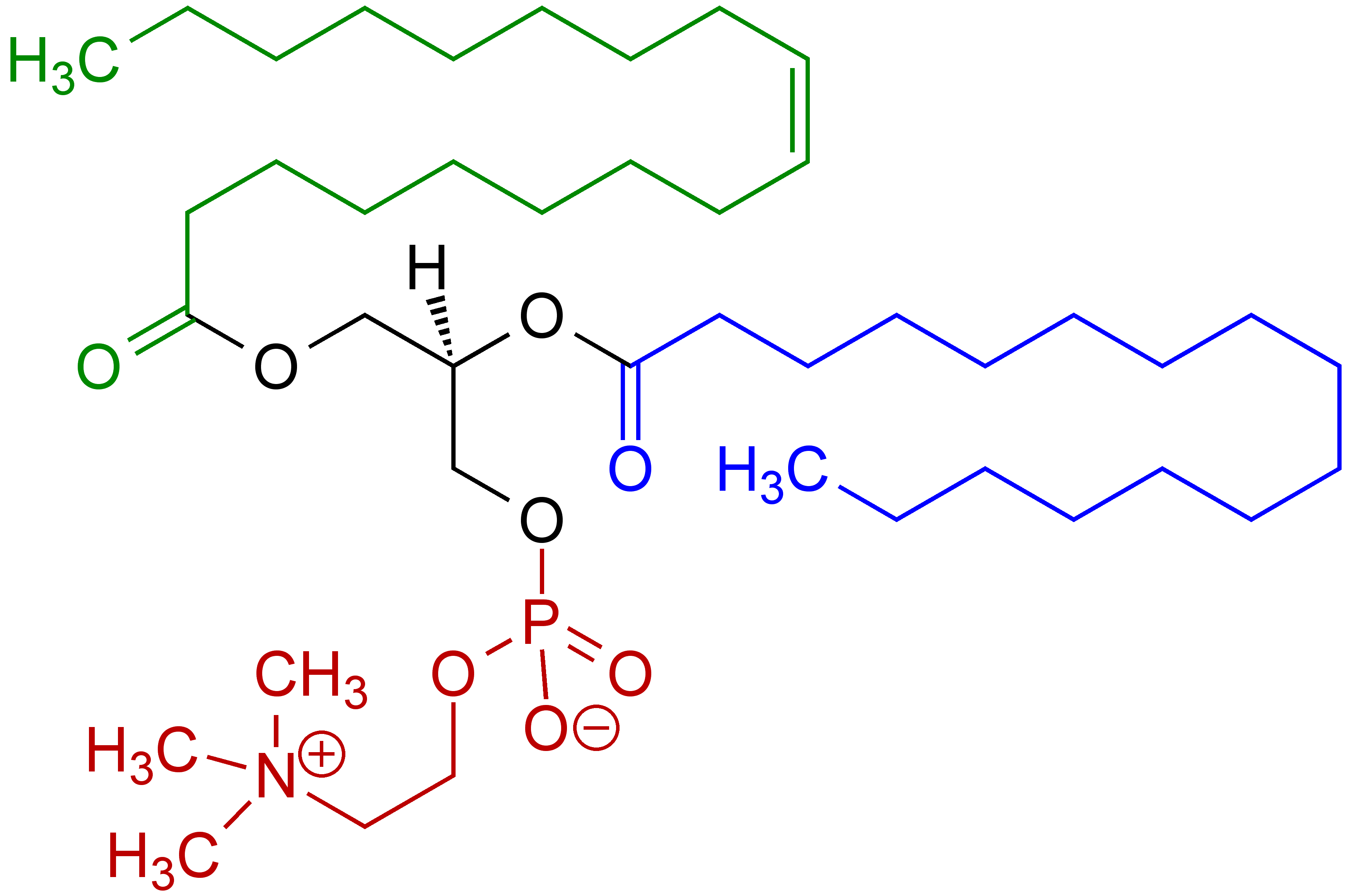 What soy lecithin is made of?