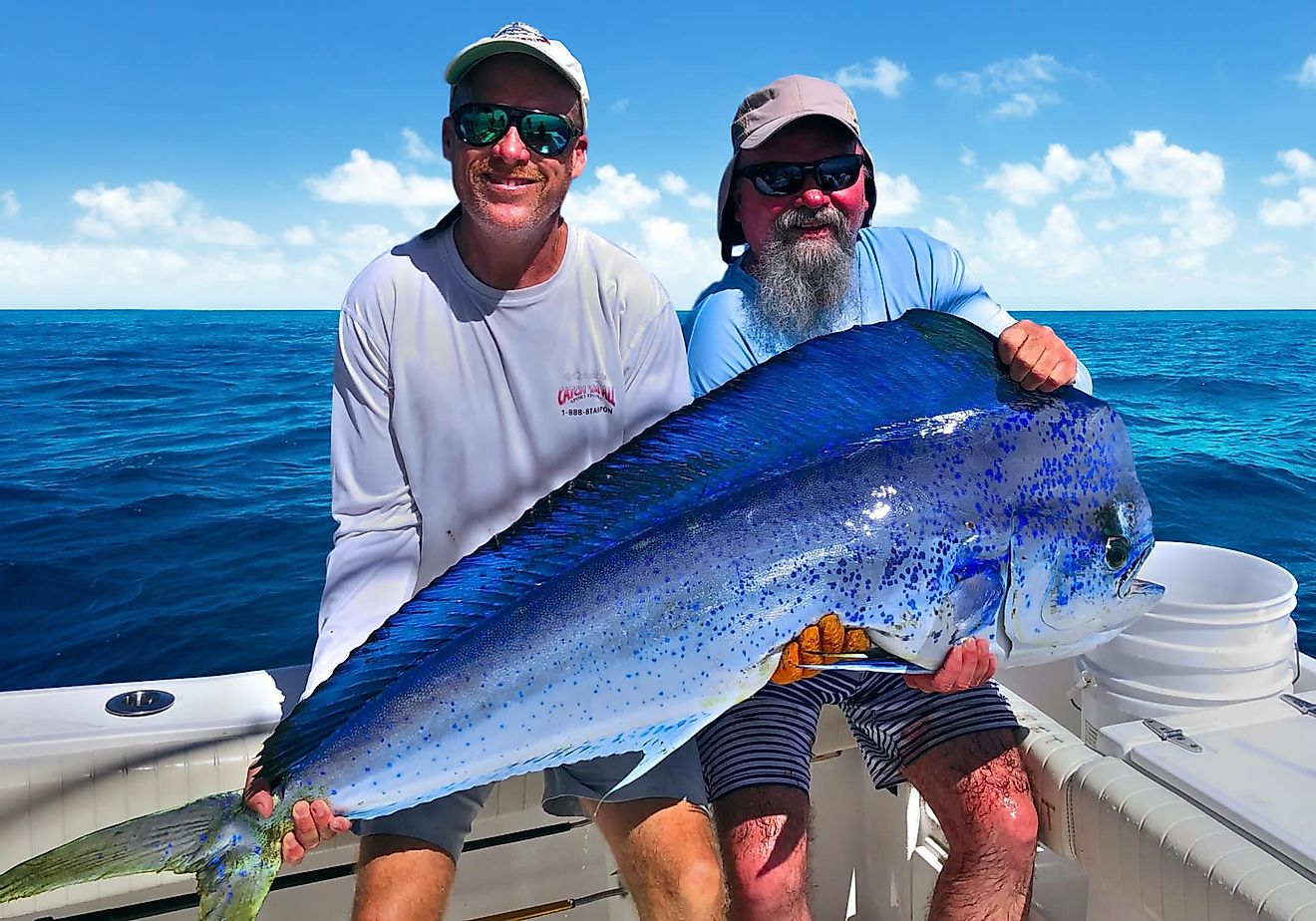 What state has the best ocean fishing?
