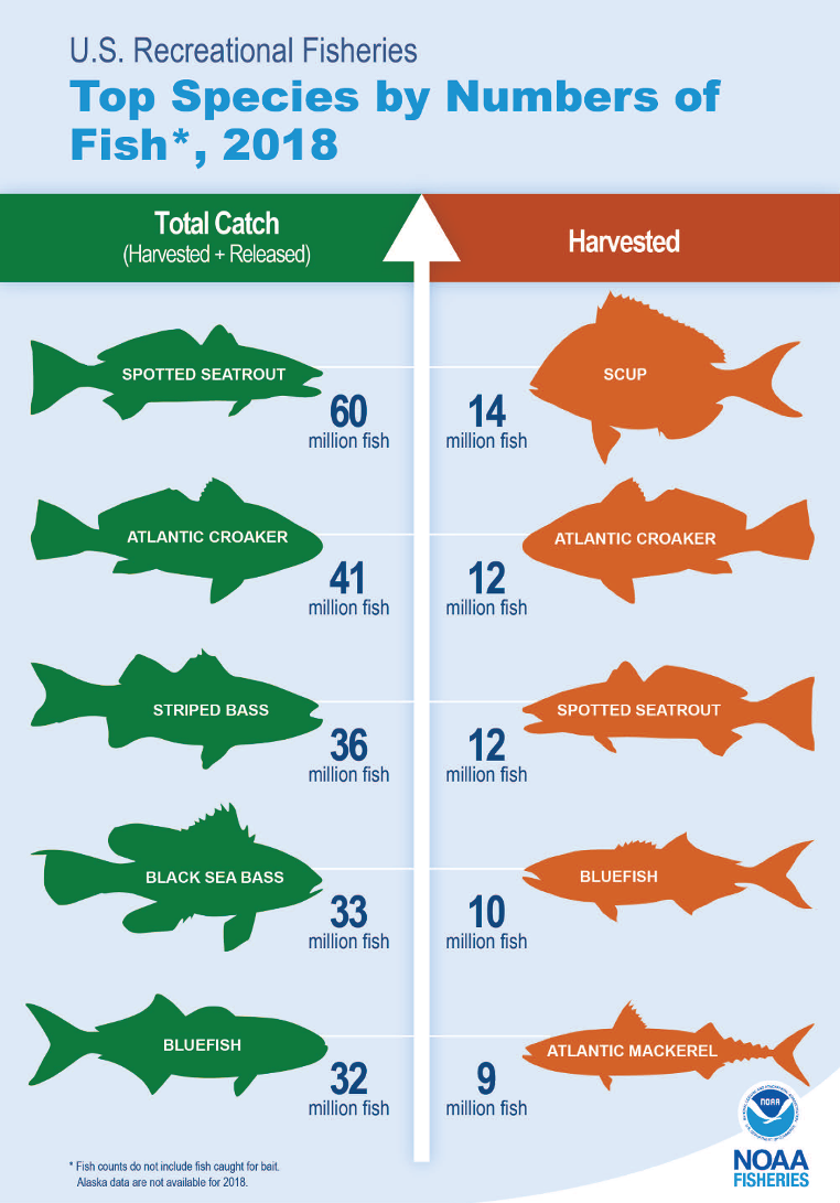 What states catch the most fish?