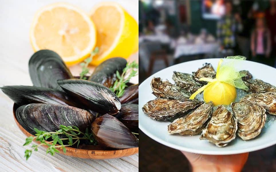 What tastes better oysters or mussels?