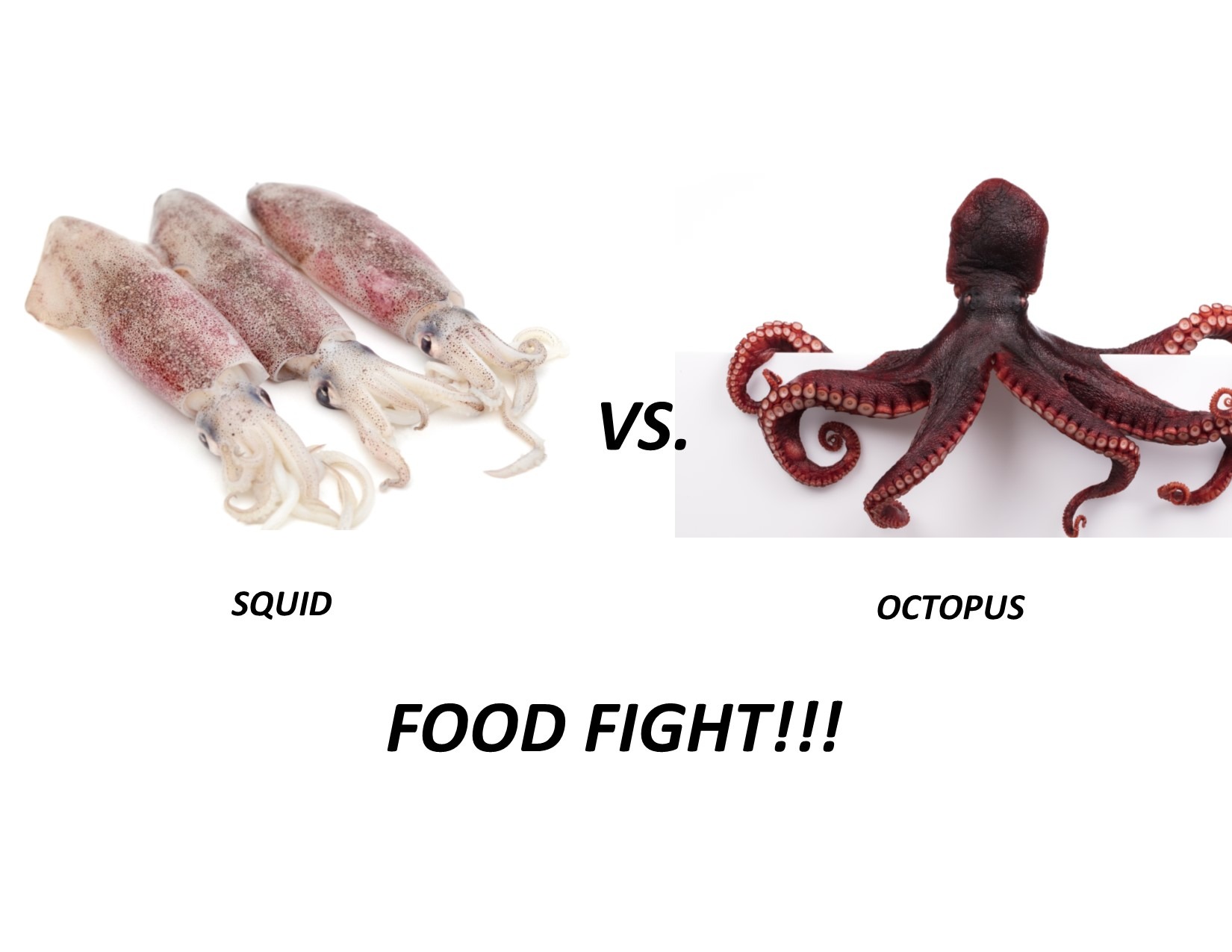 What tastes better squid or octopus?
