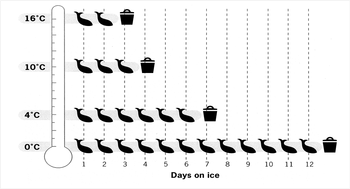 What temperature should frozen seafood be stored?