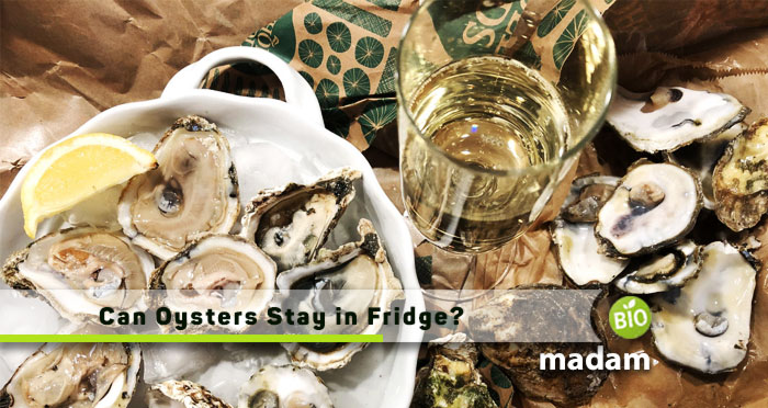 What temperature should oysters be kept in the fridge?