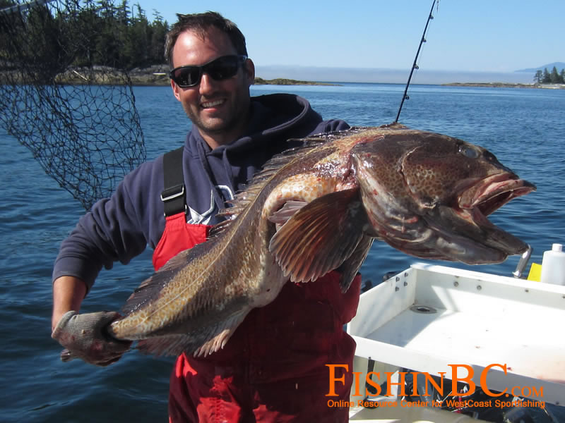 What tide is best for lingcod?