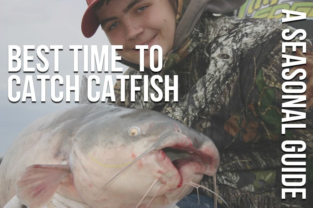 What time of day is best for channel catfish?