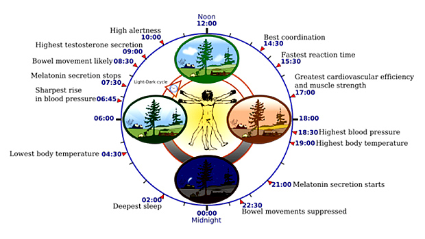 What time of the day is best to train?