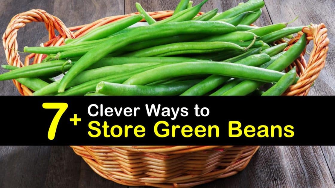 What to do after picking fresh green beans?