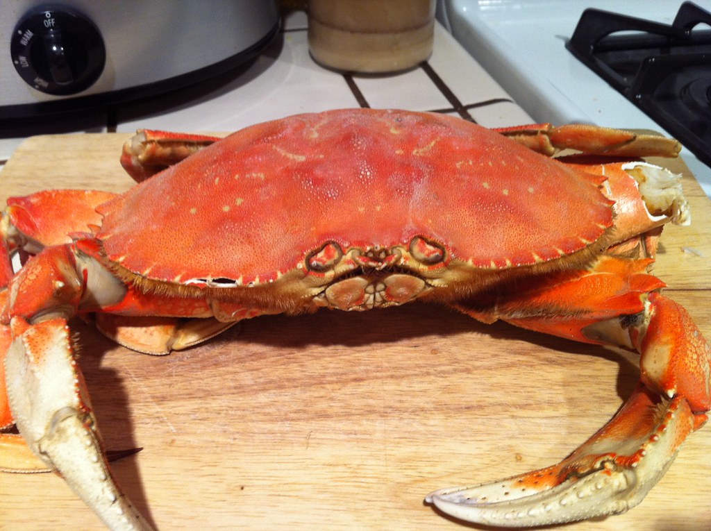 What type of crab is the tastiest?