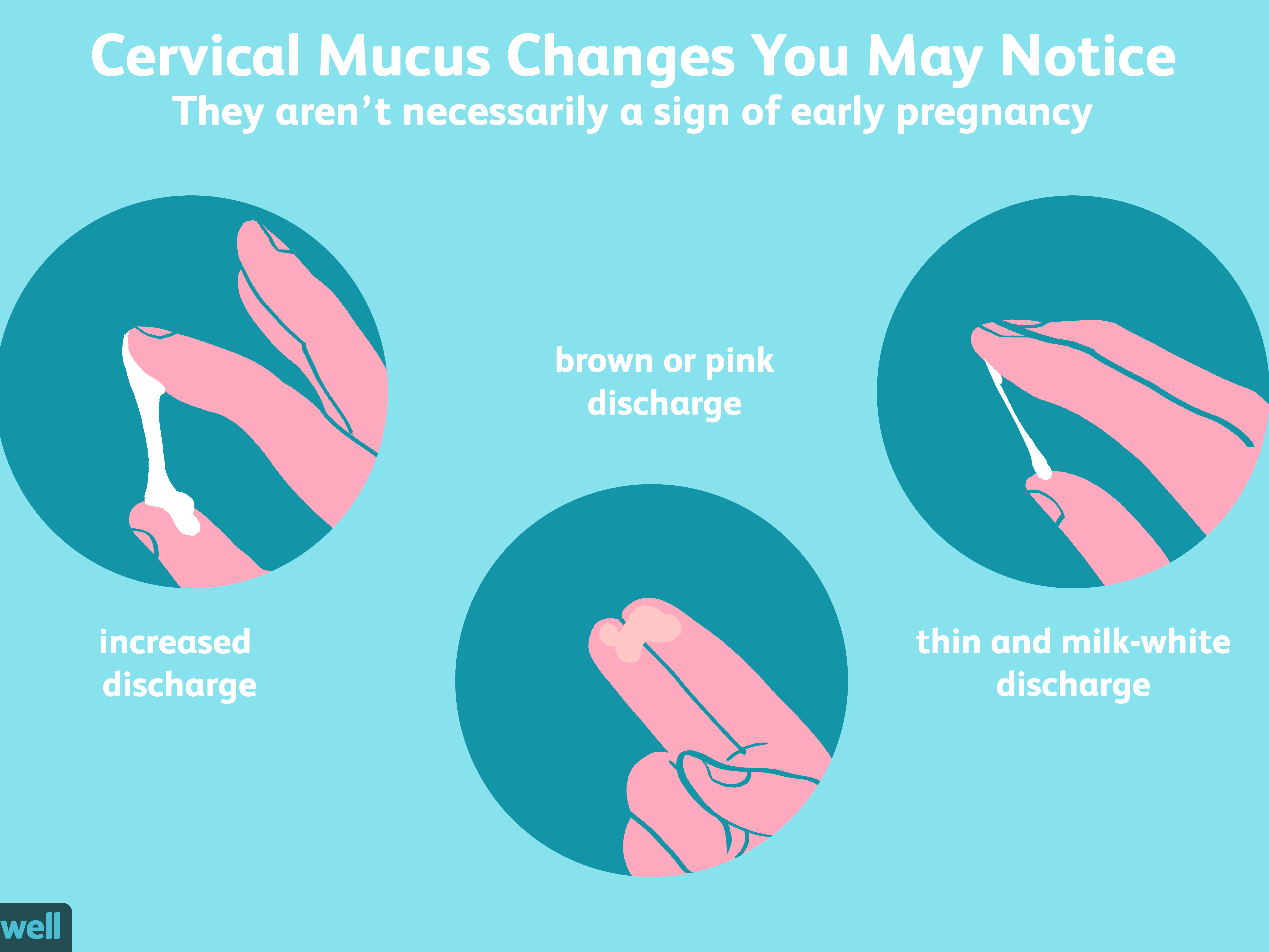 What type of discharge indicates pregnancy?