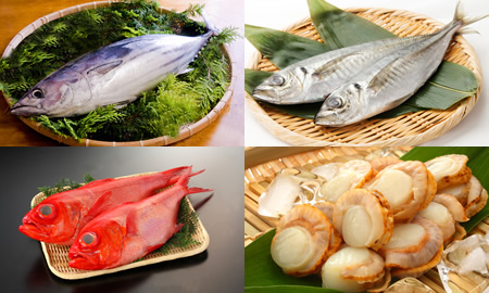 What type of fish is eaten in Japan?
