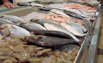 What type of fish is imported from China?