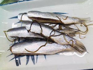 What type of fish is used for canned sardines?