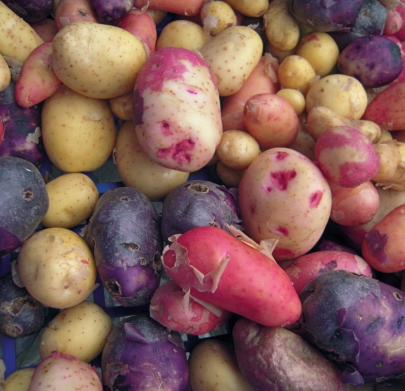 What type of potato is the healthiest?