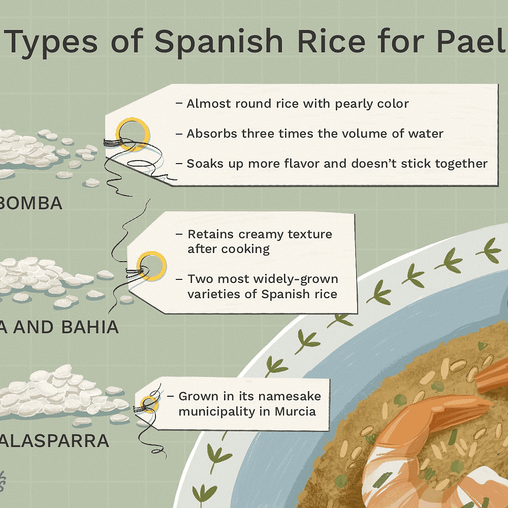 What type of rice is used in Spain?