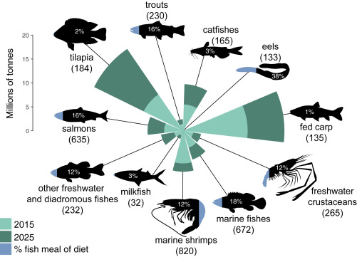 What types of diets do fish have?