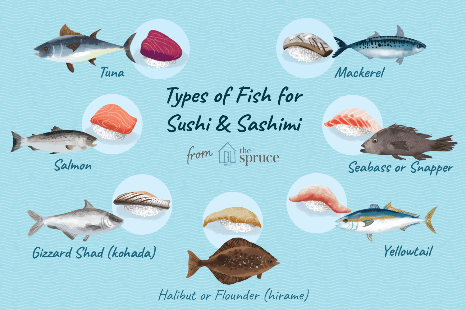 What types of fish are used in sushi?