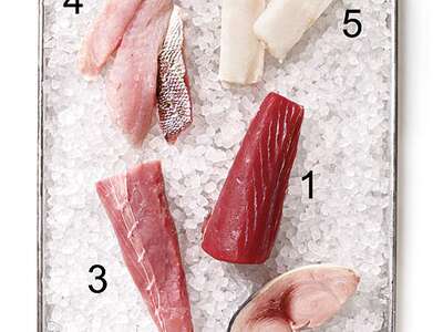 What types of fish have white meat?