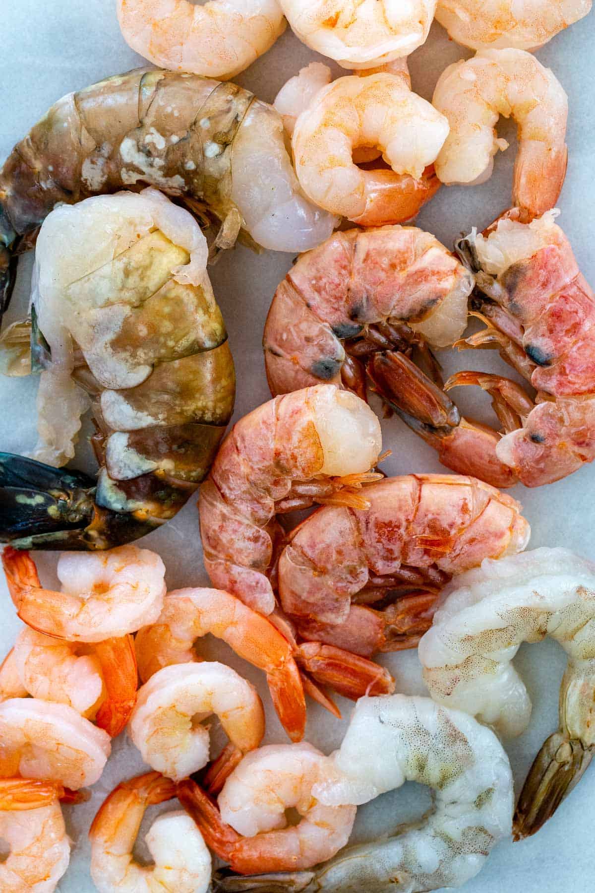 What types of shrimp can I buy locally?