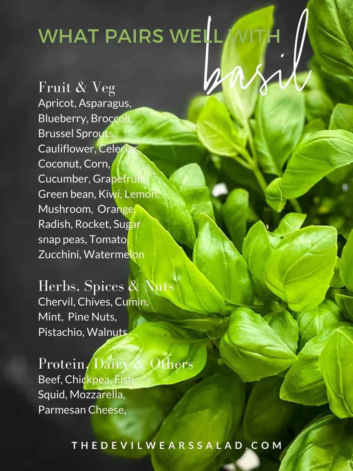 What vegetable goes well with basil?