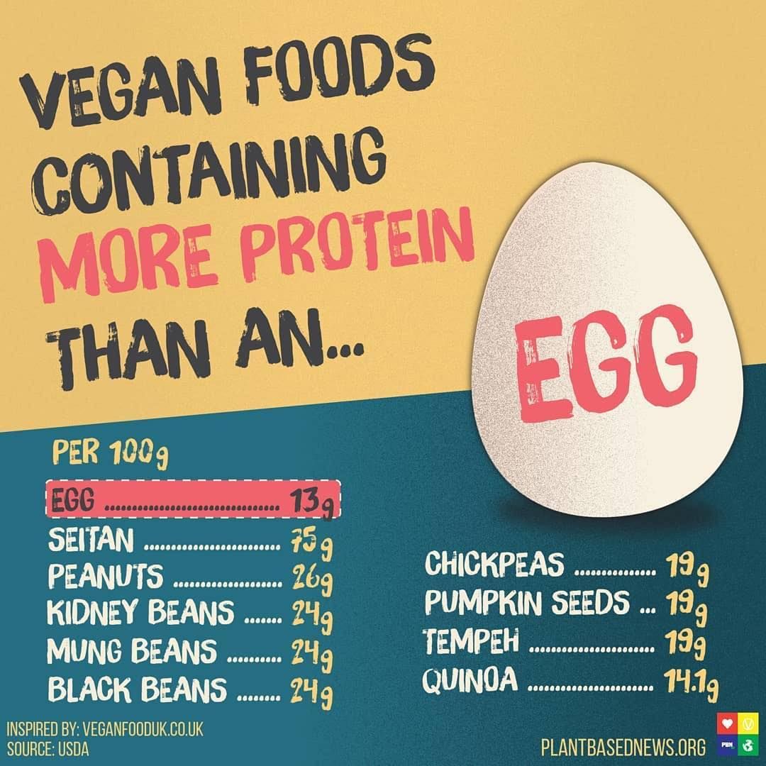 What vegetable has more protein than an egg?