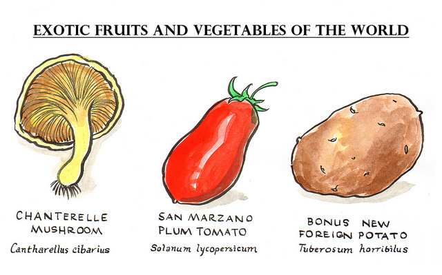 What vegetables are available in Iceland?