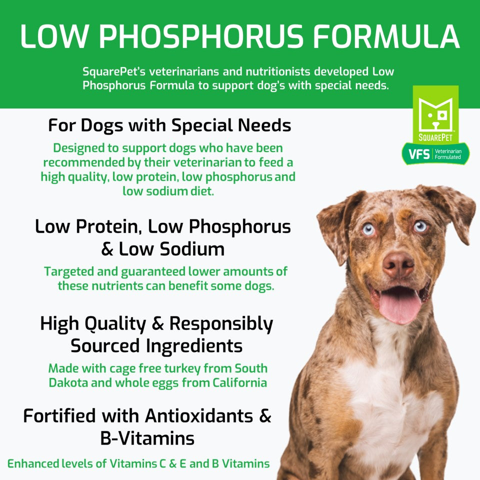 What vegetables are low in phosphorus for dogs?