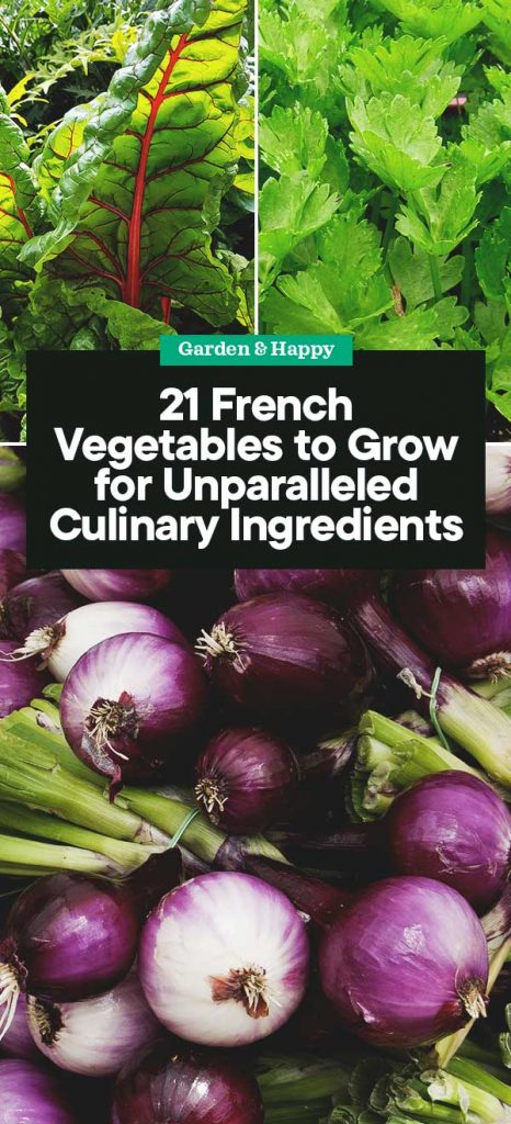 What vegetables grow in France?