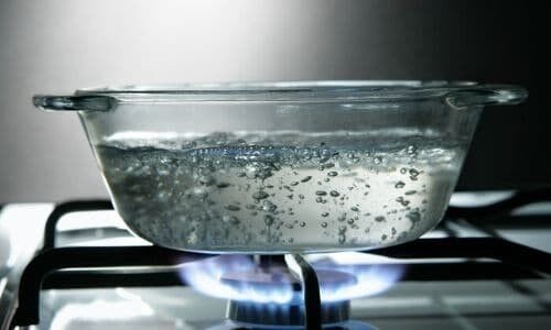What viruses can survive boiling water?