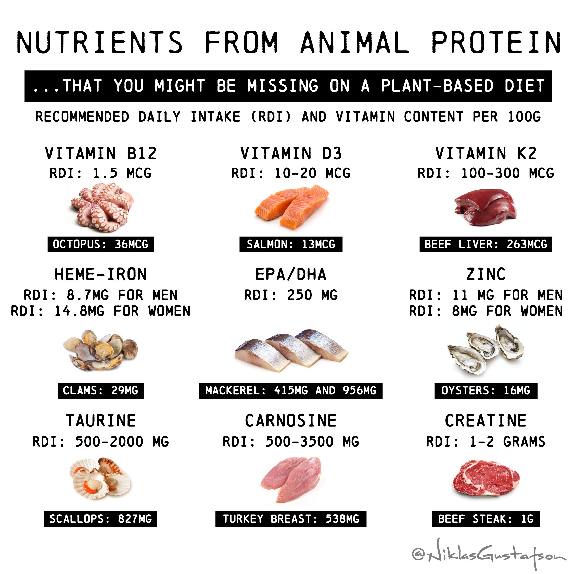 What vitamin Are you lacking in a plant-based protein diet?