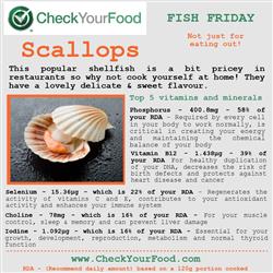 What vitamins and minerals are in scallops?