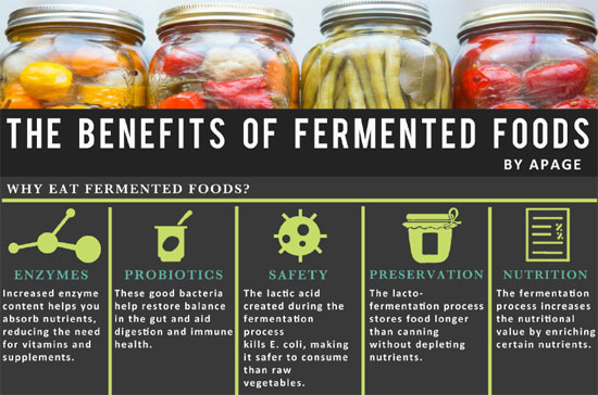 What vitamins are in fermented foods?