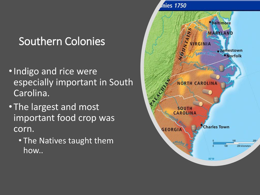 What was most important to the southern colonies?