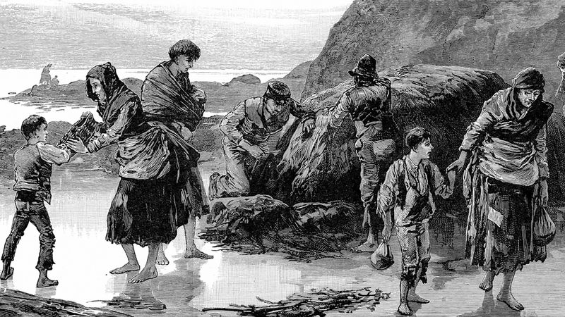 What was one major effect of the Great Famine in the mid?