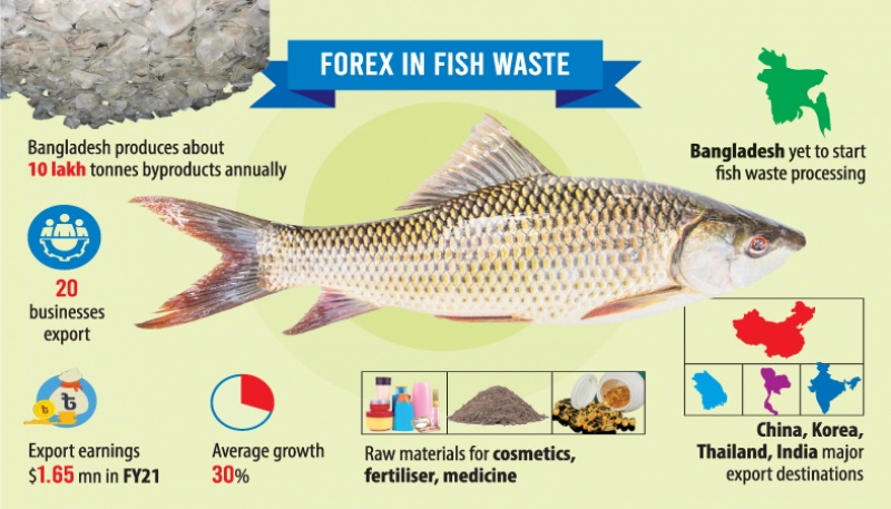 What waste materials are given off by fish?