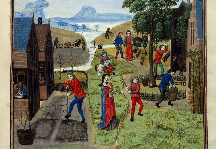 What were the roles of peasants in medieval times?