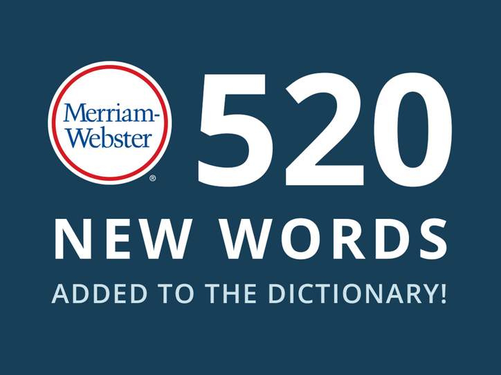 What words did they add to the dictionary 2021?