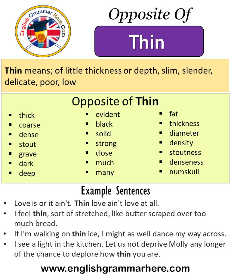 What words mean the same as thin?