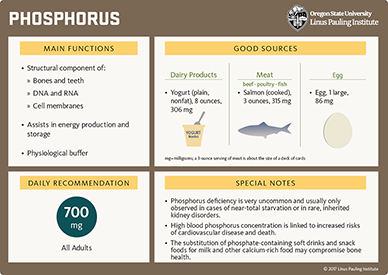 What would cause phosphorus to be high?