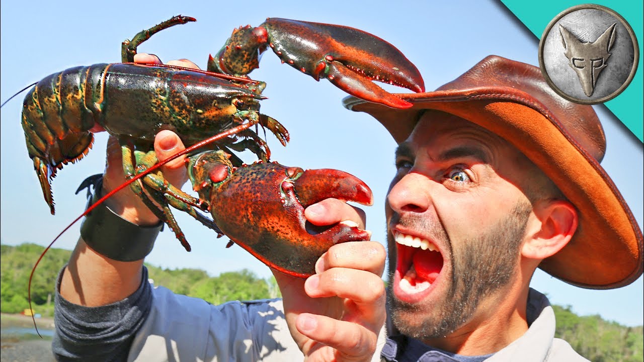 What would happen if a lobster Pinches you?