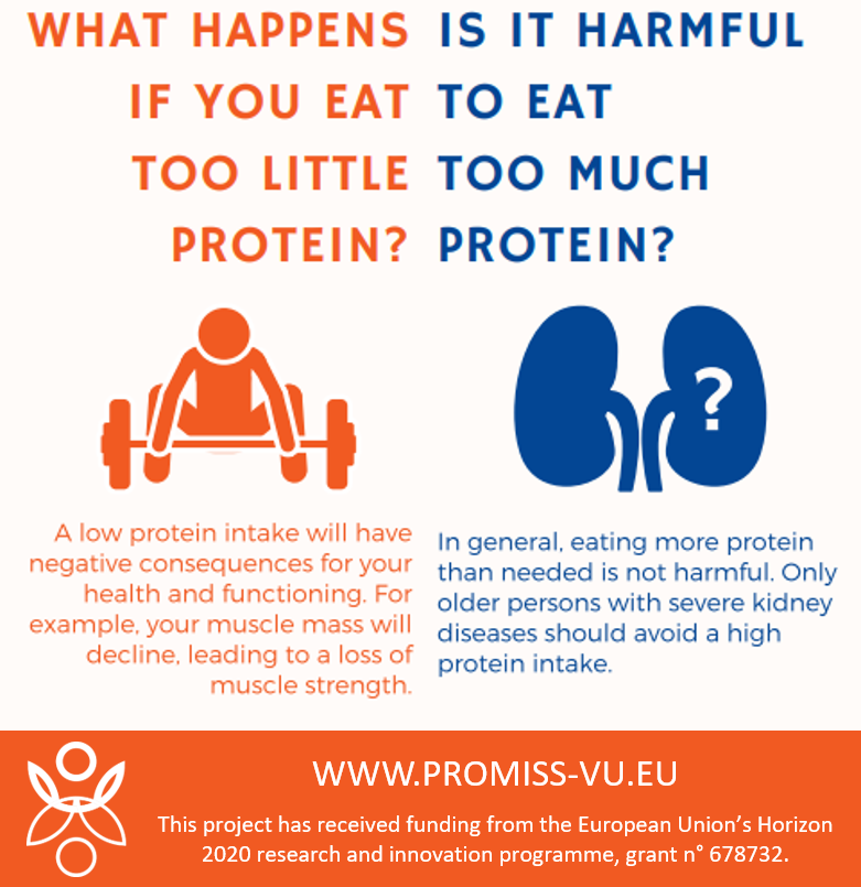 What would happen if you had too little protein in your diet?
