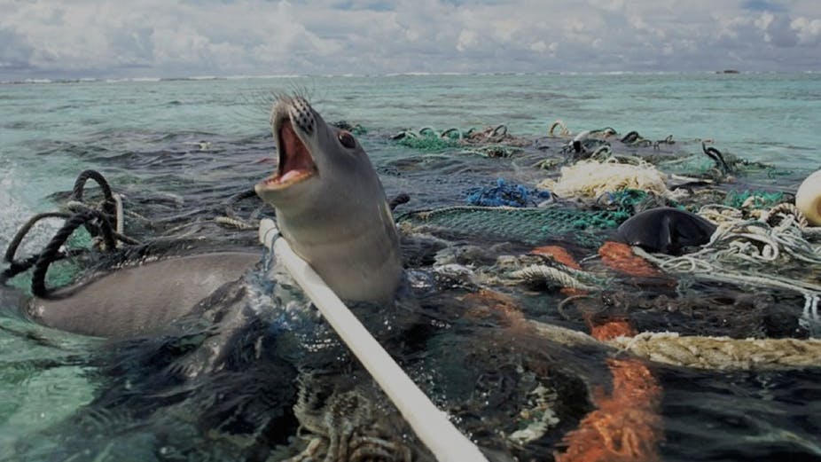 What year will the ocean be empty?