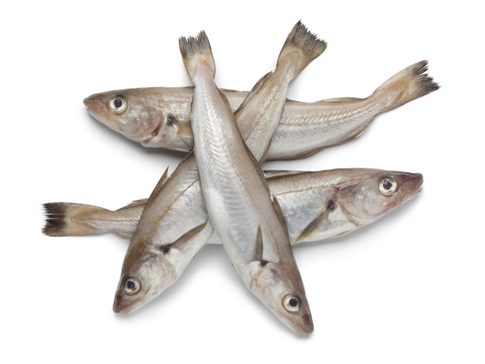 What's healthier whiting or tilapia?