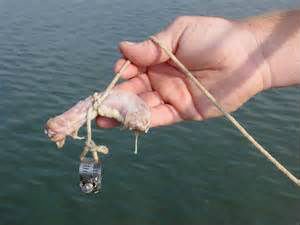 What's the best bait for crabbing?