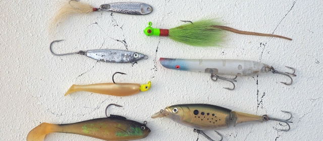 What's the best bait for saltwater shore fishing?