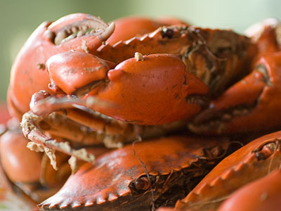 What's the best time of year to eat crab?