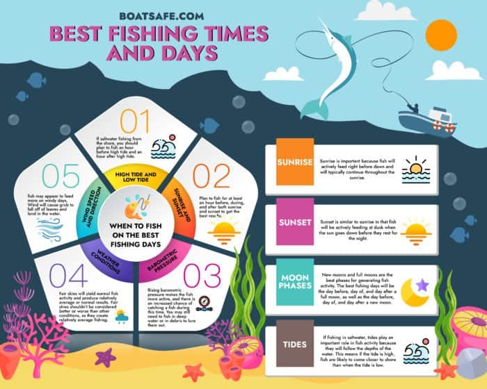 What's the best time to go saltwater fishing?