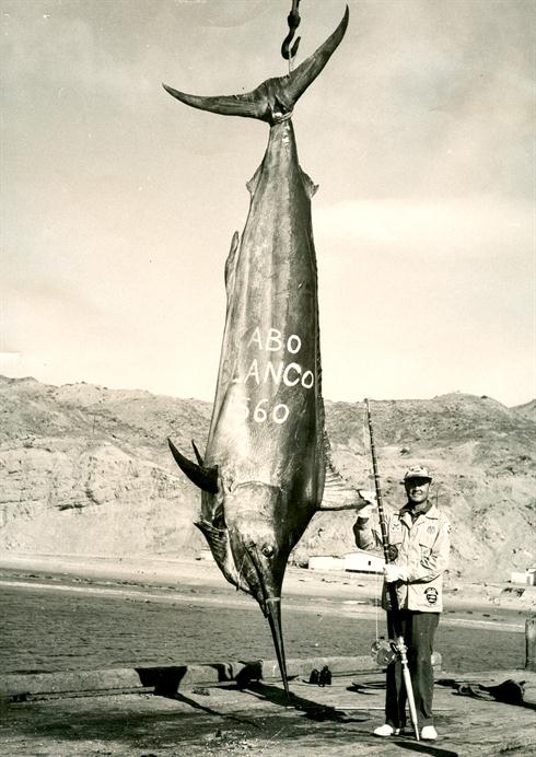 What's the biggest fish ever caught on record?